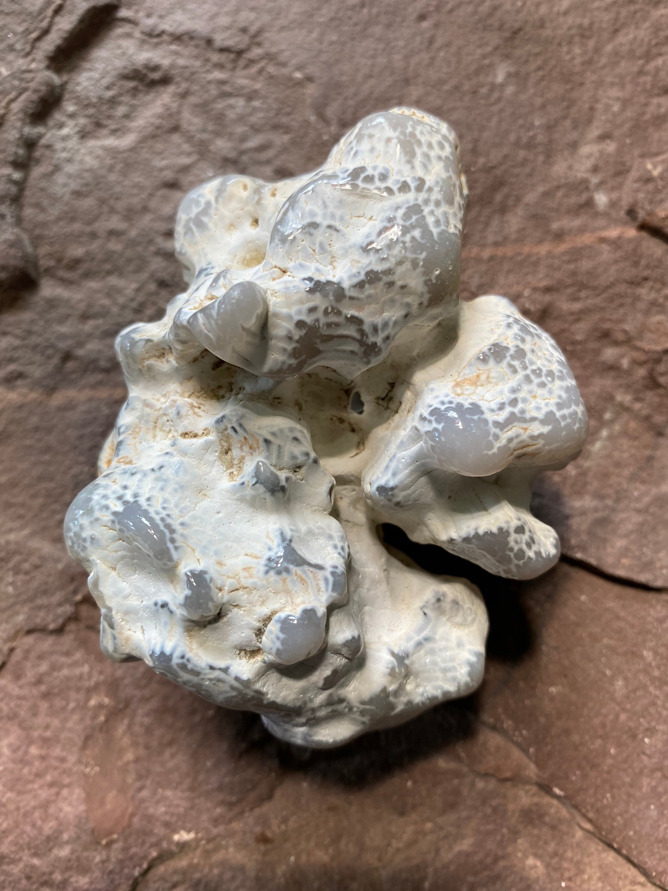 1/2 LB-SNAKESKIN AGATE, Knobby Palm Stone, Polished, 195.60 Grams ...