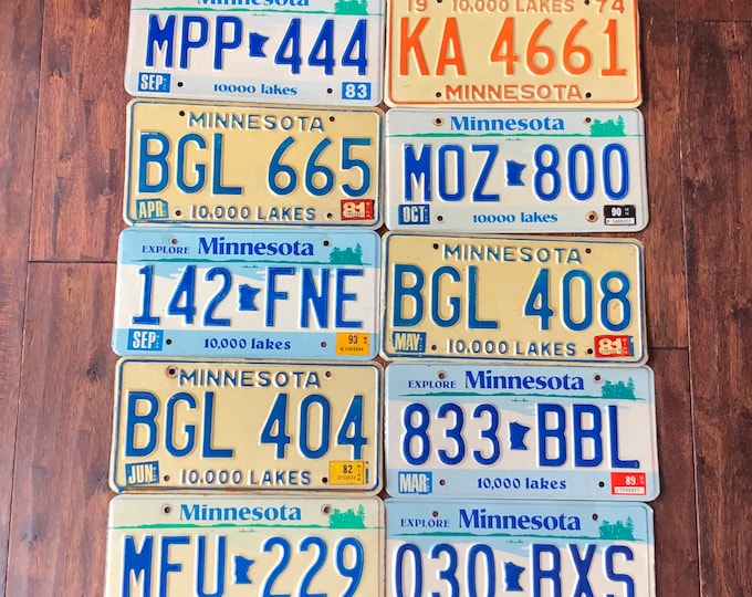 Minnesota Choice of License Plate, Pick Your Plate, License Plates ...