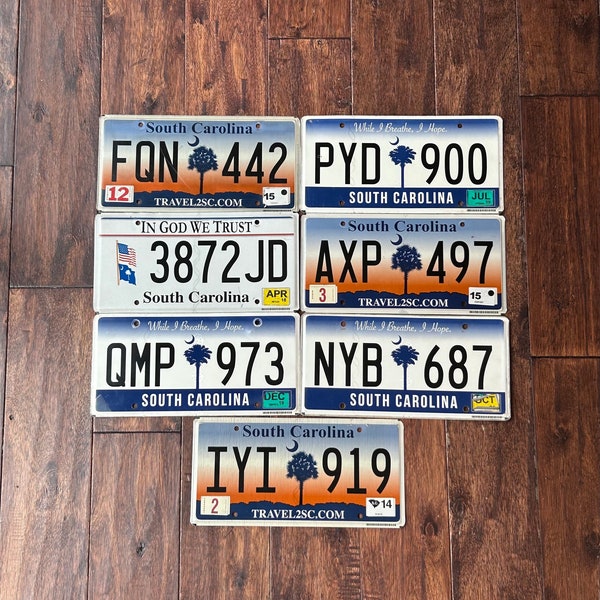 South Carolina License Plate - Etsy