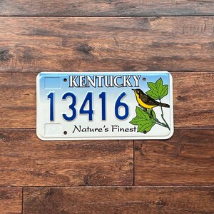 License Plate Kentucky, Bird License Plate, Kentucky License Plate ...
