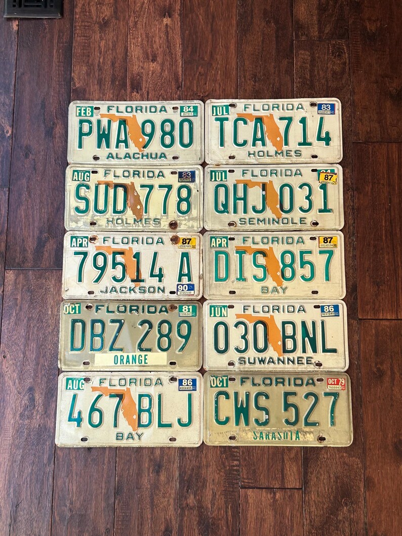 Florida Choice of License Plate, License Plate Florida, Florida License ...