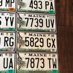 License Plate Choice Maine Chickadee Bird Pine Tree, Maine License ...