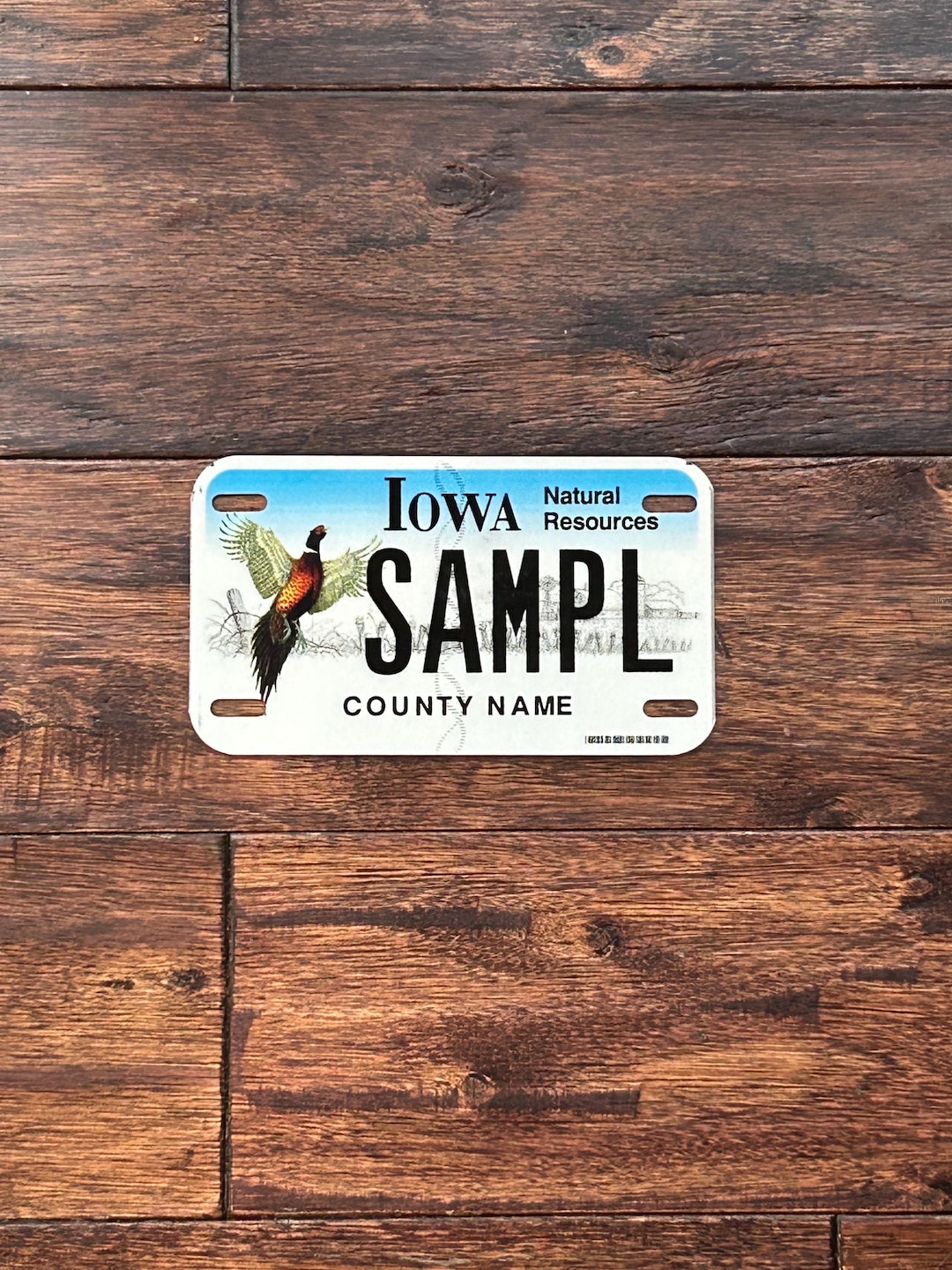 License Plate Motorcycle Iowa, Sample License Plate Motorcycle, License ...