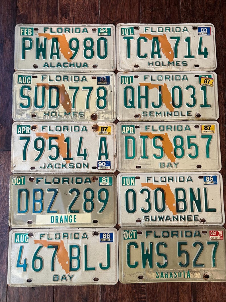 Florida Choice of License Plate, License Plate Florida, Florida License ...