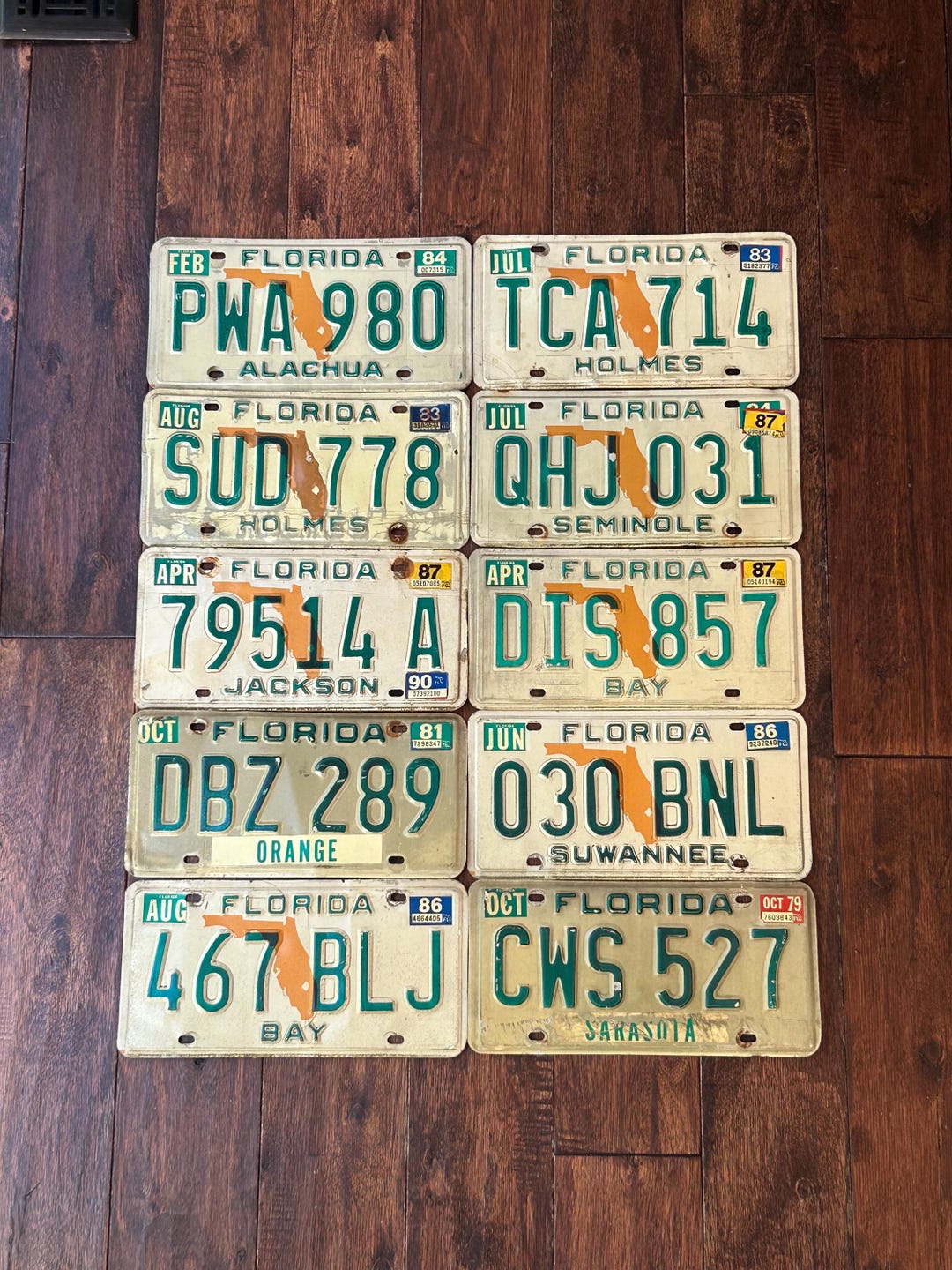 Florida Choice of License Plate, License Plate Florida, Florida License ...
