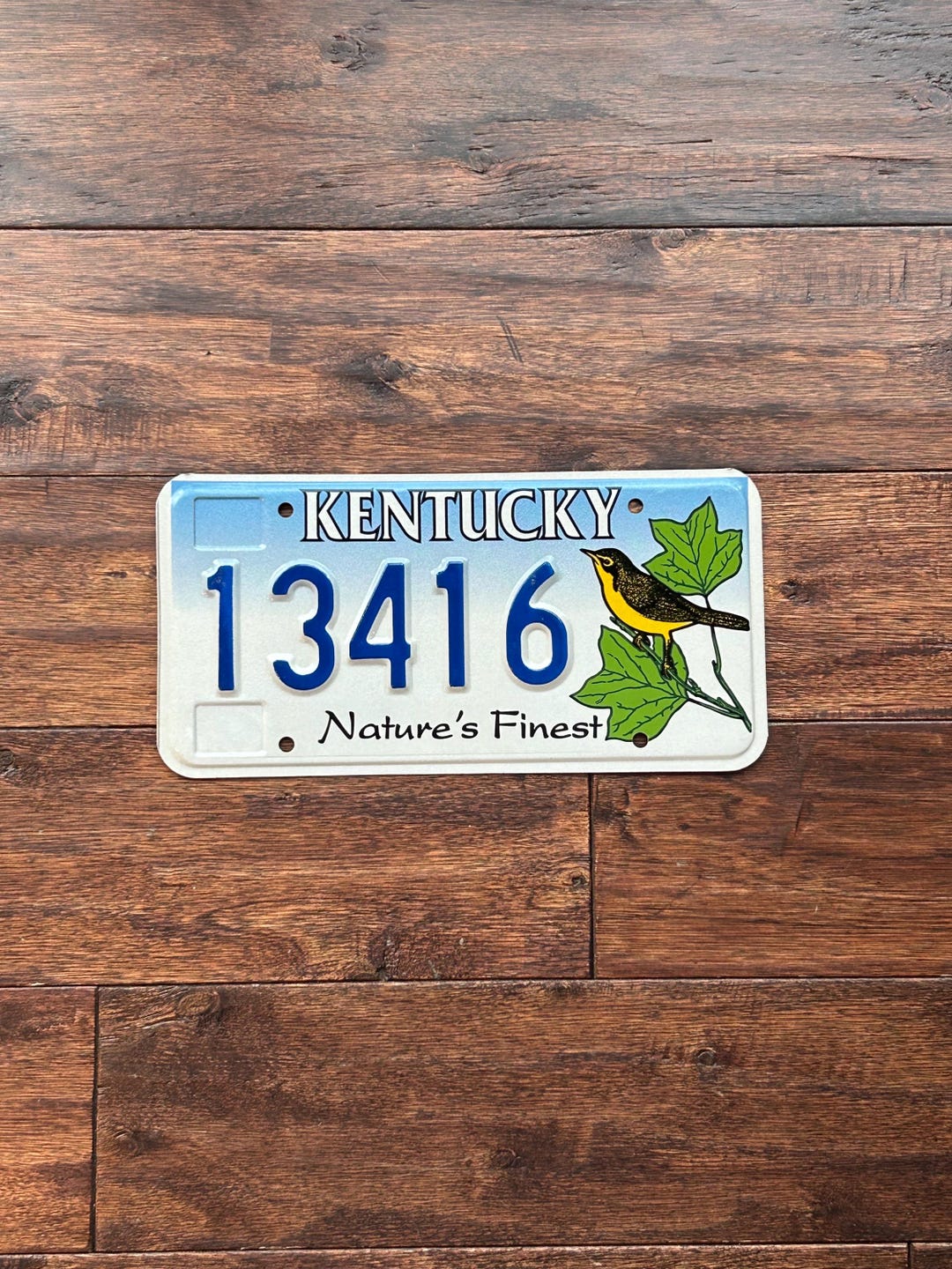License Plate Kentucky, Bird License Plate, Kentucky License Plate ...