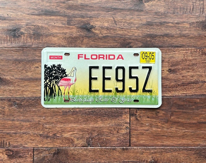 License Plate Florida, Florida License Plate Everglades River of Grass ...