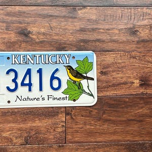 License Plate Kentucky, Bird License Plate, Kentucky License Plate ...