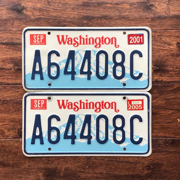 State License Plate - Etsy