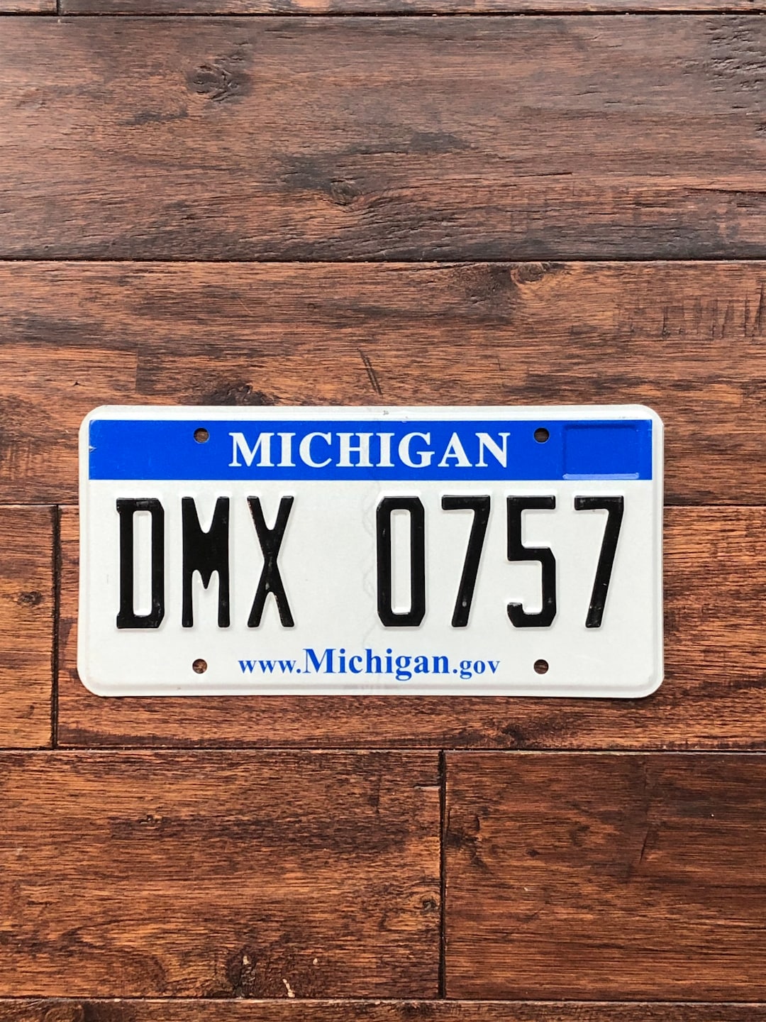License Plate Michigan Prototype Color Test, Unique Michigan License ...