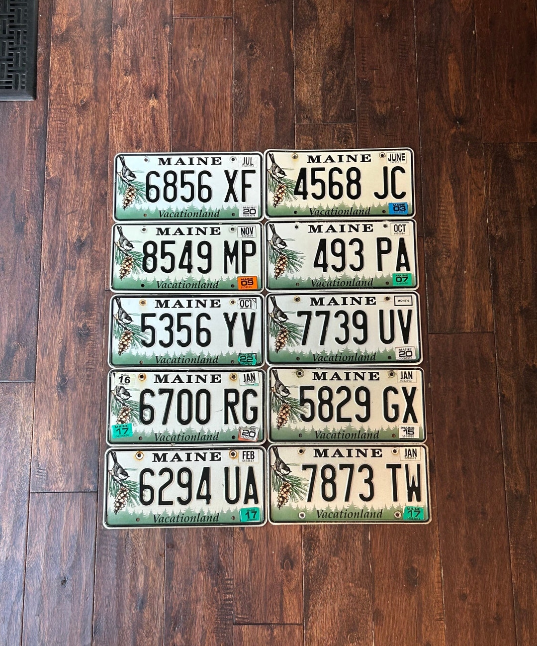 License Plate Choice Maine Chickadee Bird Pine Tree, Maine License ...