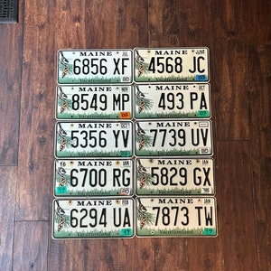 License Plate Choice Maine Chickadee Bird Pine Tree, Maine License ...