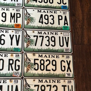 License Plate Choice Maine Chickadee Bird Pine Tree, Maine License ...
