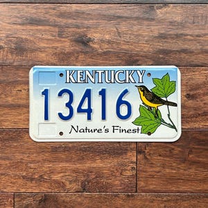 License Plate Kentucky, Bird License Plate, Kentucky License Plate ...