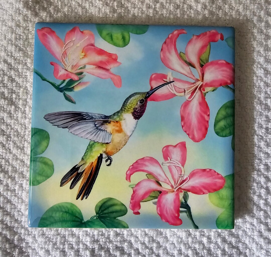 Glossy Accent Piece Hummingbird Feeding American Ceramic Tile 4.25x4.25 ...