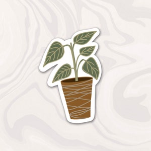 Plant Lover Sticker Bundle, Plant Stickers, Botanical Sticker, Flower ...