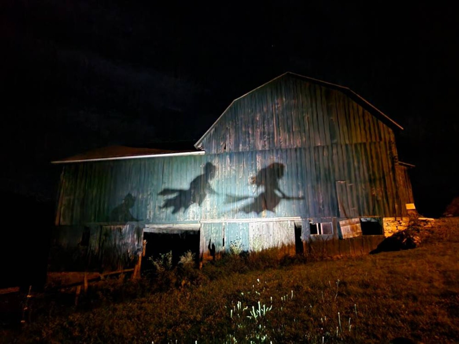 Hocus Pocus Flying Witch Silhouettes Add on Bat, Cat, or BOTH ...
