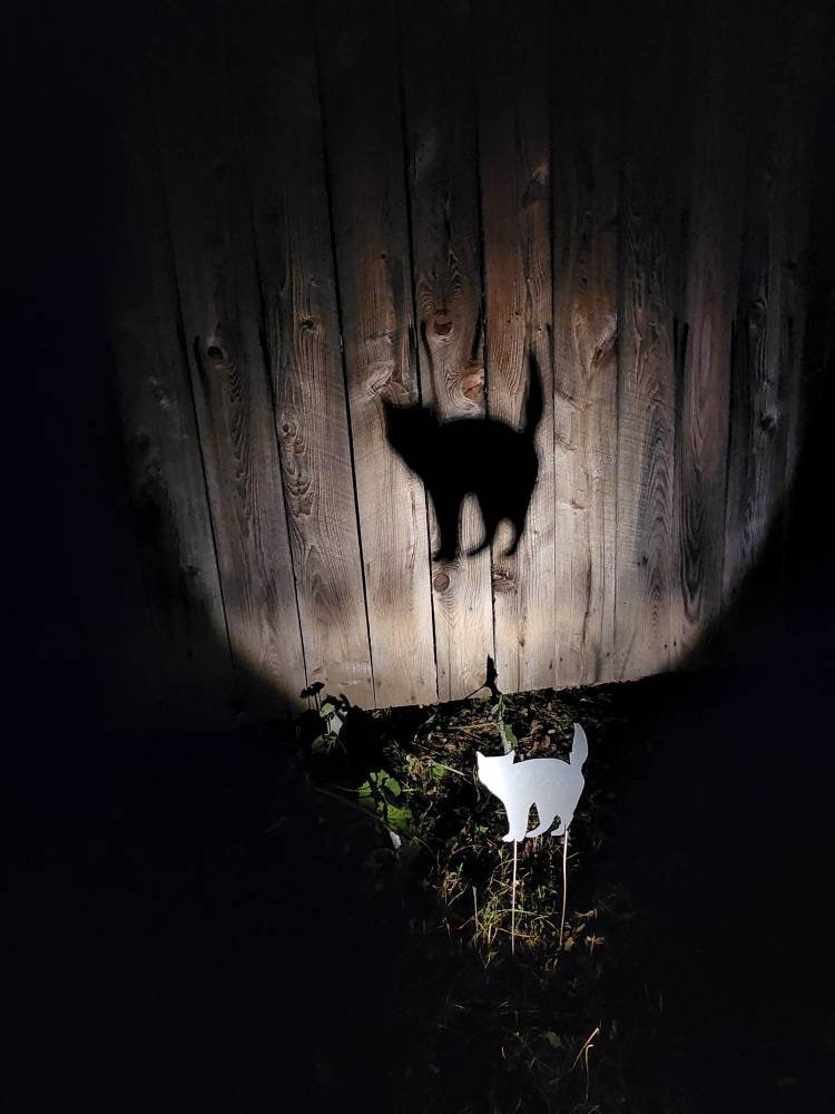 HOCUS POCUS Thachary Binks Cat Silhouette to Shadow Cast on - Etsy
