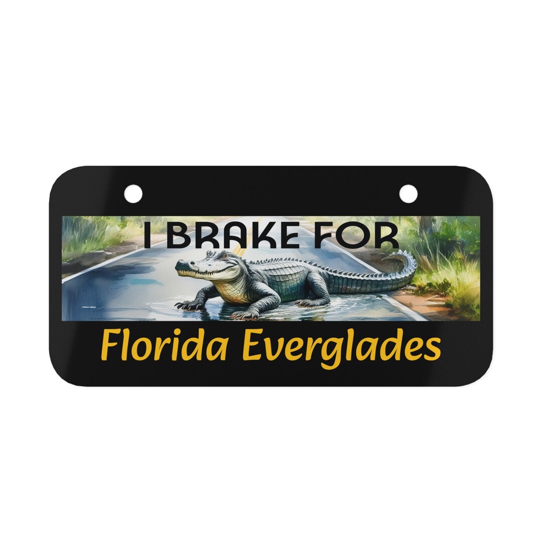 Florida Everglades Mini License Plate - Etsy