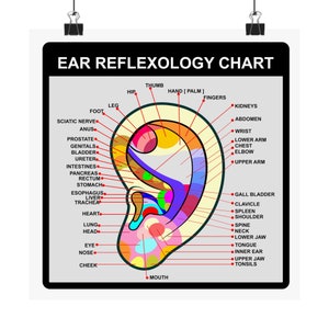Ear Reflexology Posters - Etsy Canada