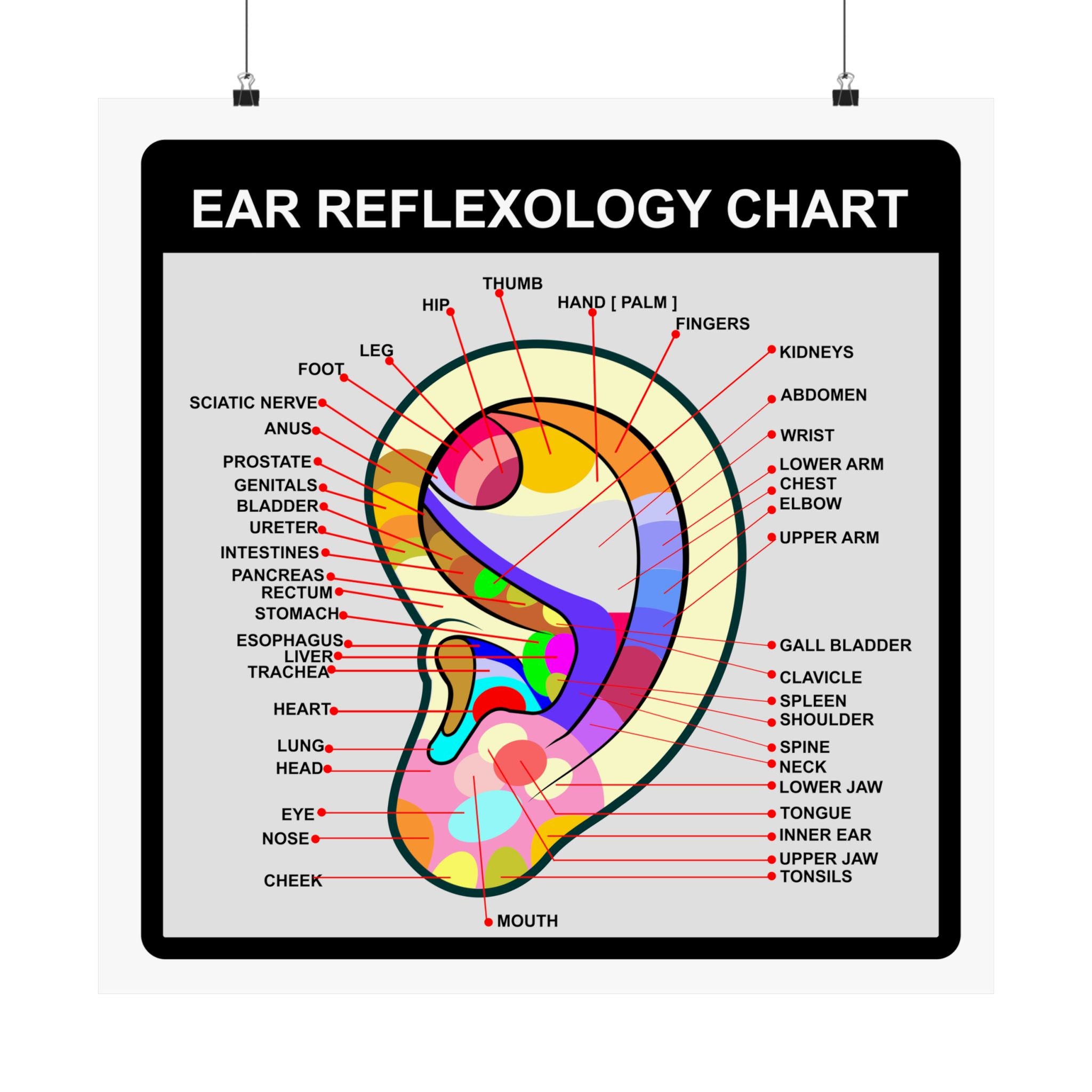 Ear Reflexology Posters - Etsy Canada