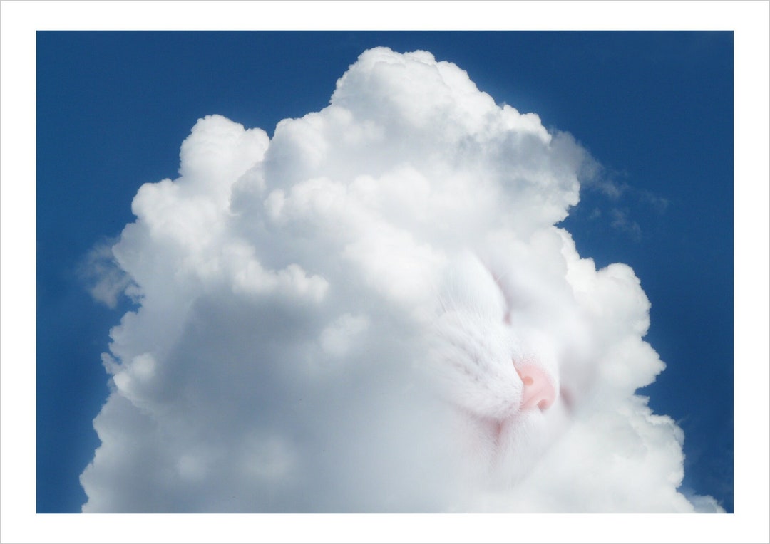 The Cloud Nap by Raphaël - Digital Art Print - Etsy