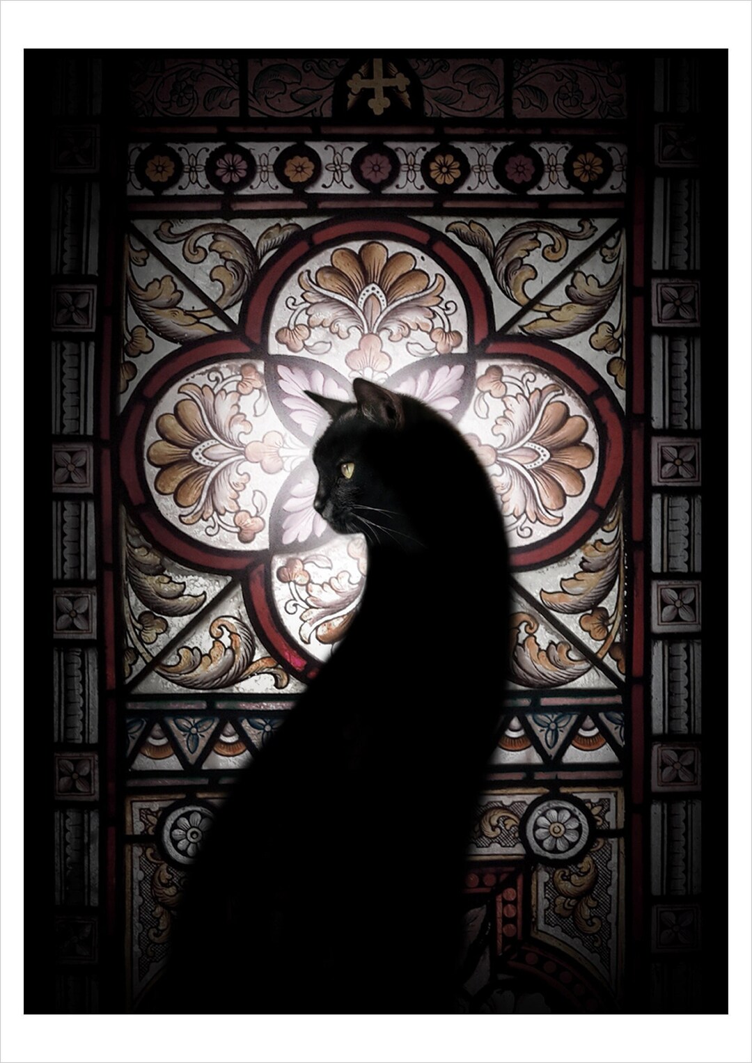 Holy Cat by Raphaël - Digital Art Print - Etsy