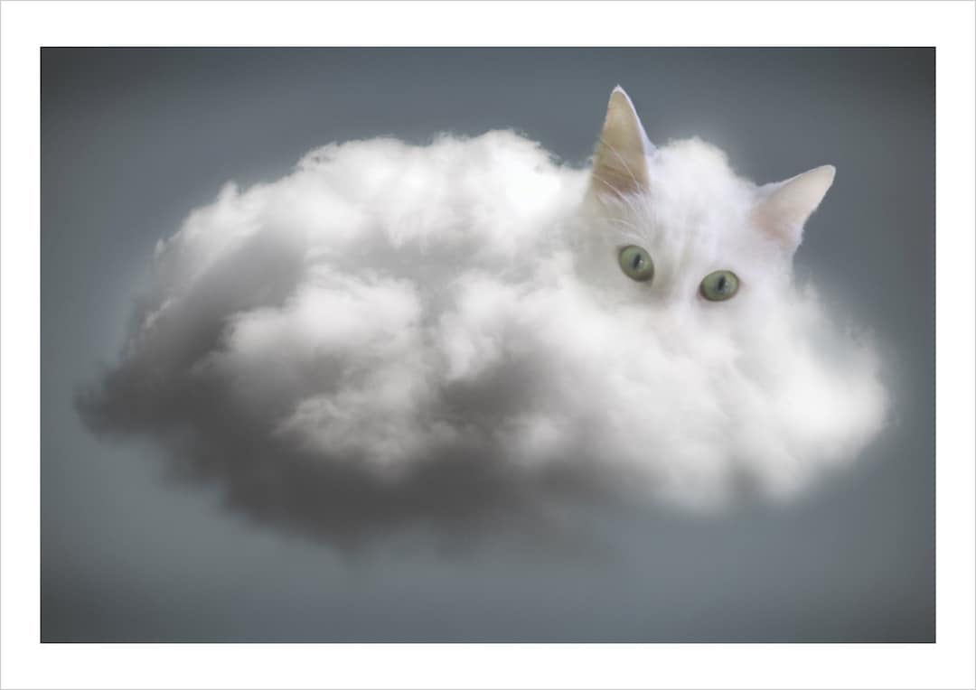 Cloud Cat by Raphaël - Digital Art Print - Etsy