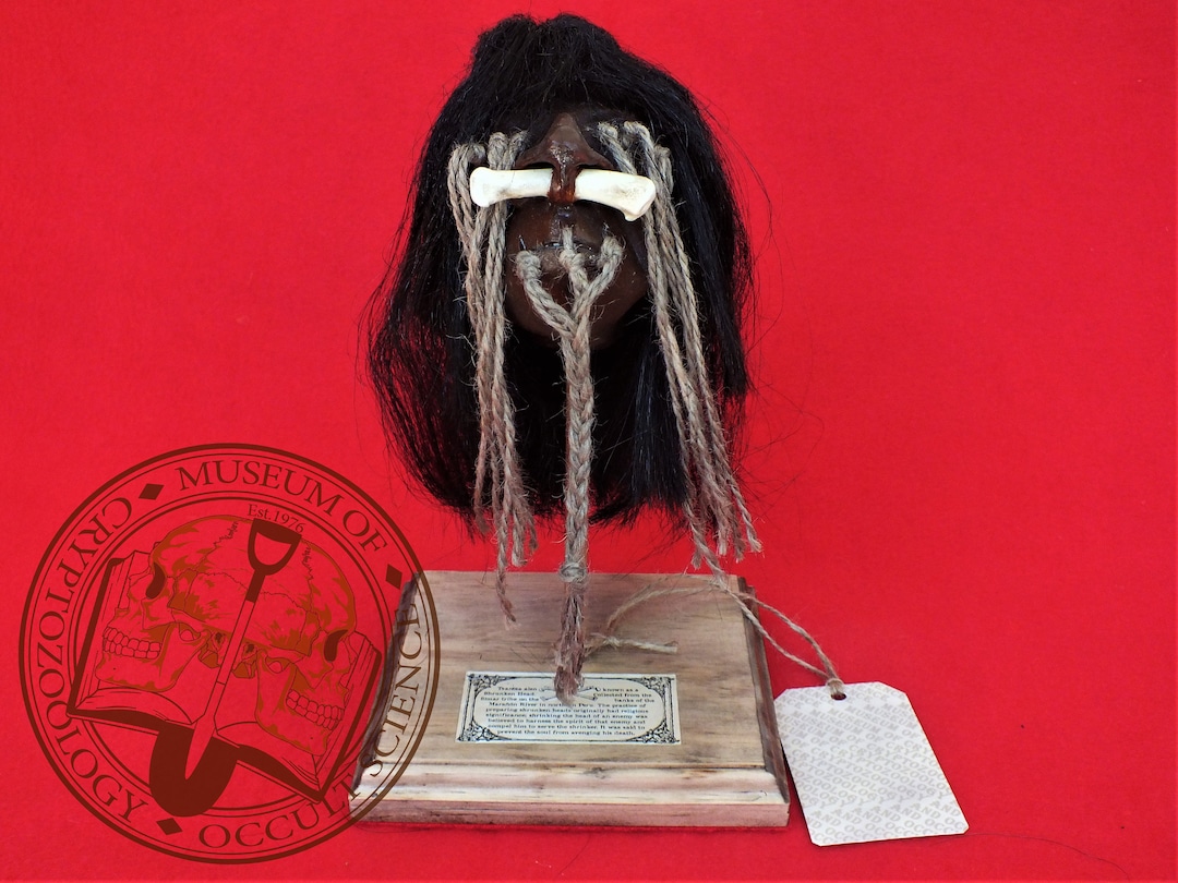 Tsantsa - Shrunken Head, Historical Artefact, Tribal Art, Primitive Art ...