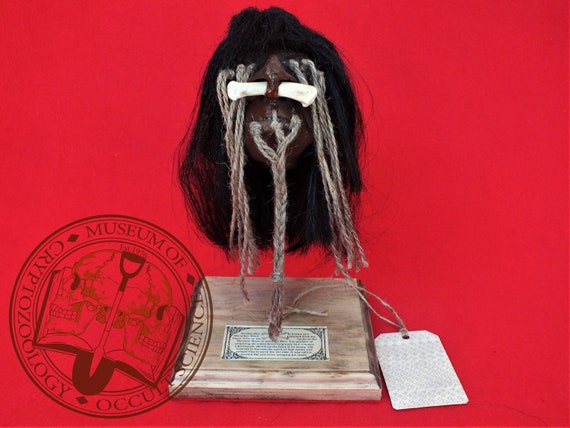 Tsantsa Shrunken Head Historical Artefact Tribal Art | Etsy