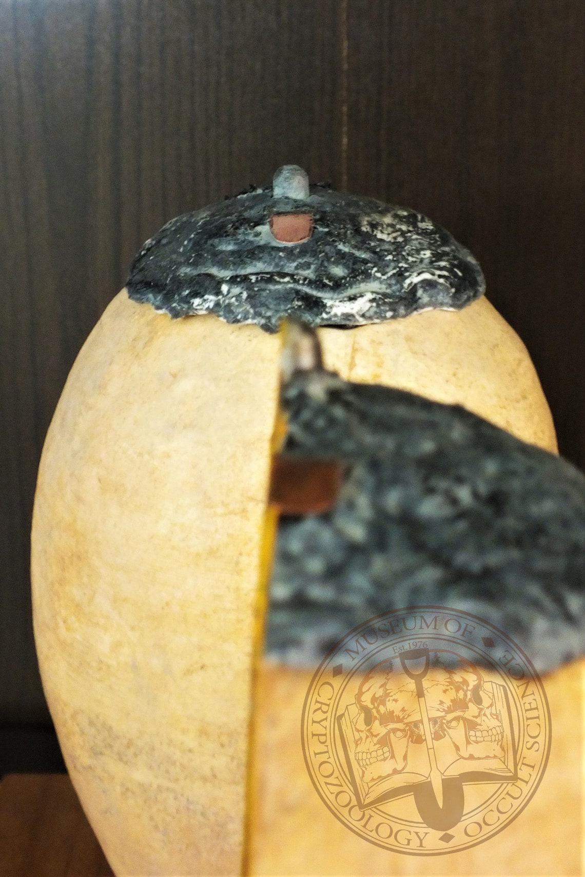 Model and Cut-away Baghdad Battery Set Parthian Battery - Etsy