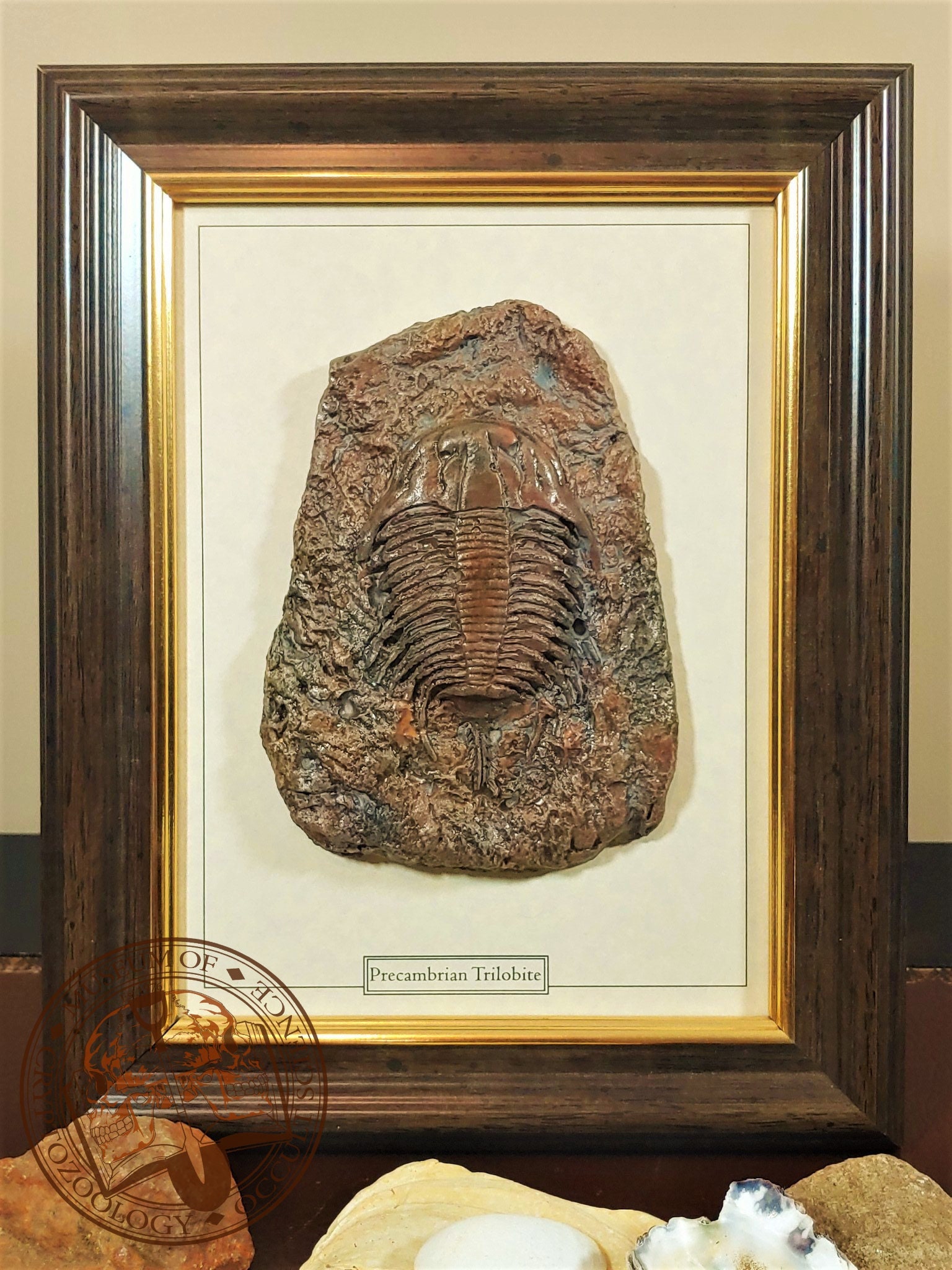 Trilobite Painting