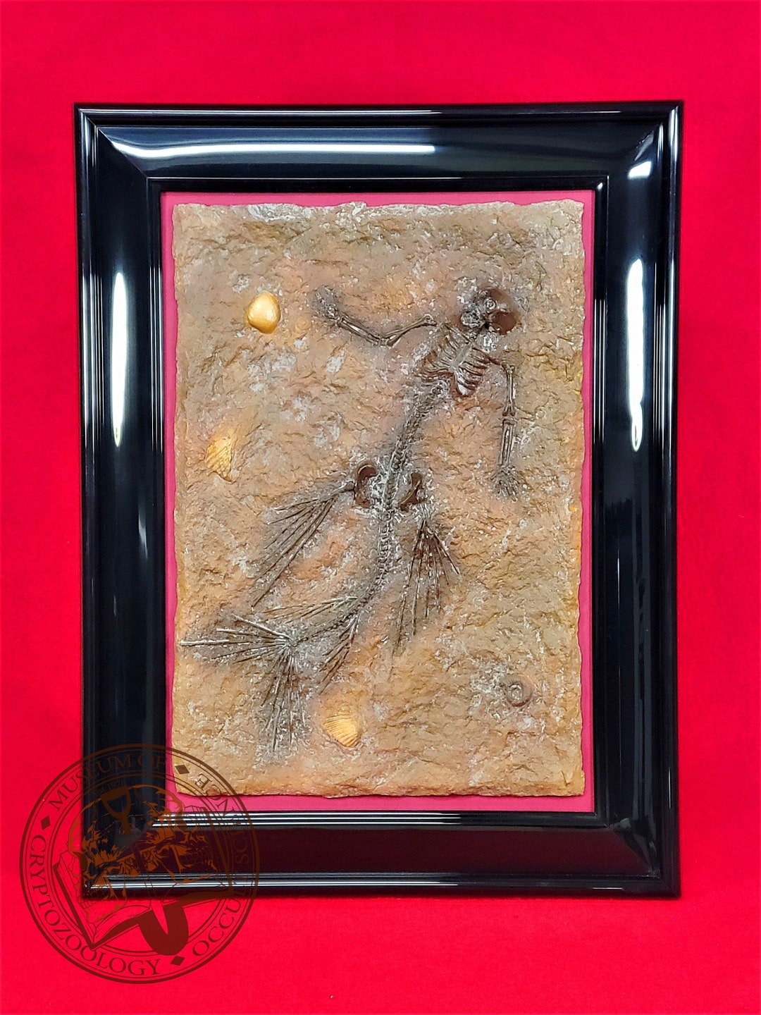 Fossilised Mermaid Fantasy Sculpture Mermaid Mythical - Etsy