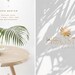 OOAK Logo Design + Video Animation - Professional & Artistic Brand ...