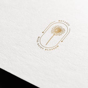 OOAK Logo Design + Video Animation - Professional & Artistic Brand ...