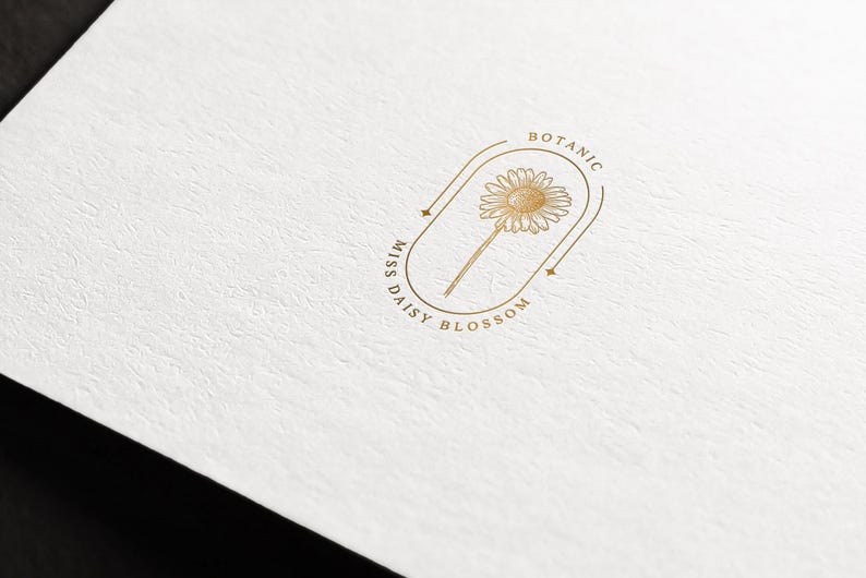 OOAK Logo Design + Video Animation - Professional & Artistic Brand ...