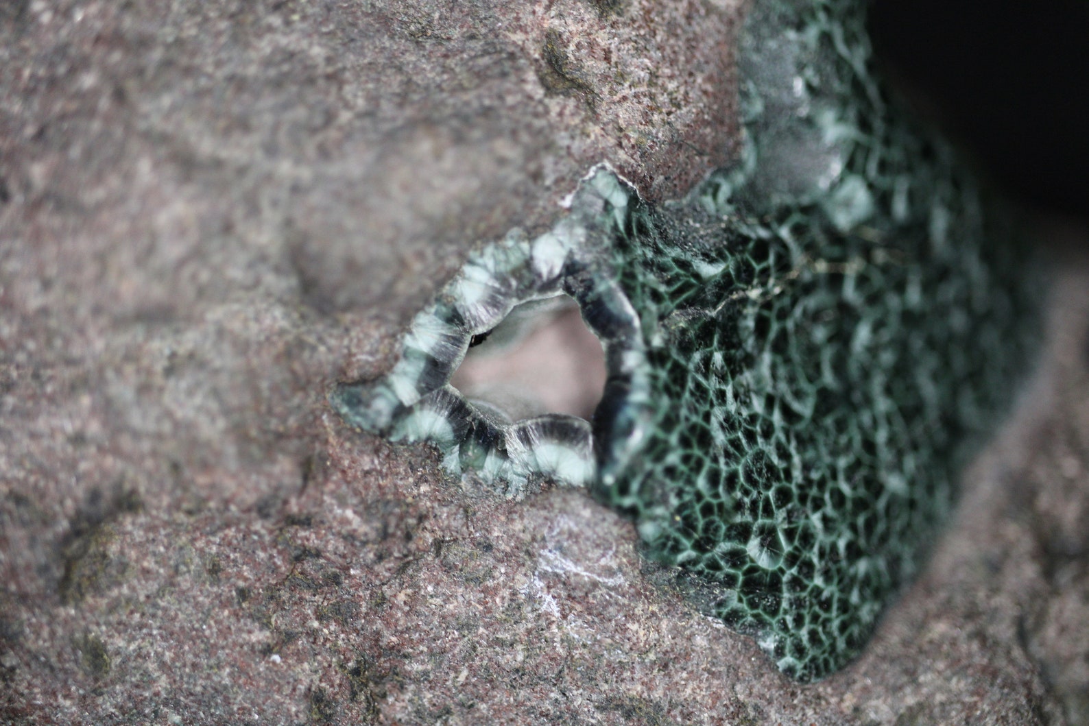 MASSIVE Gorgeous Isle Royale Greenstone Specimen Rare - Etsy