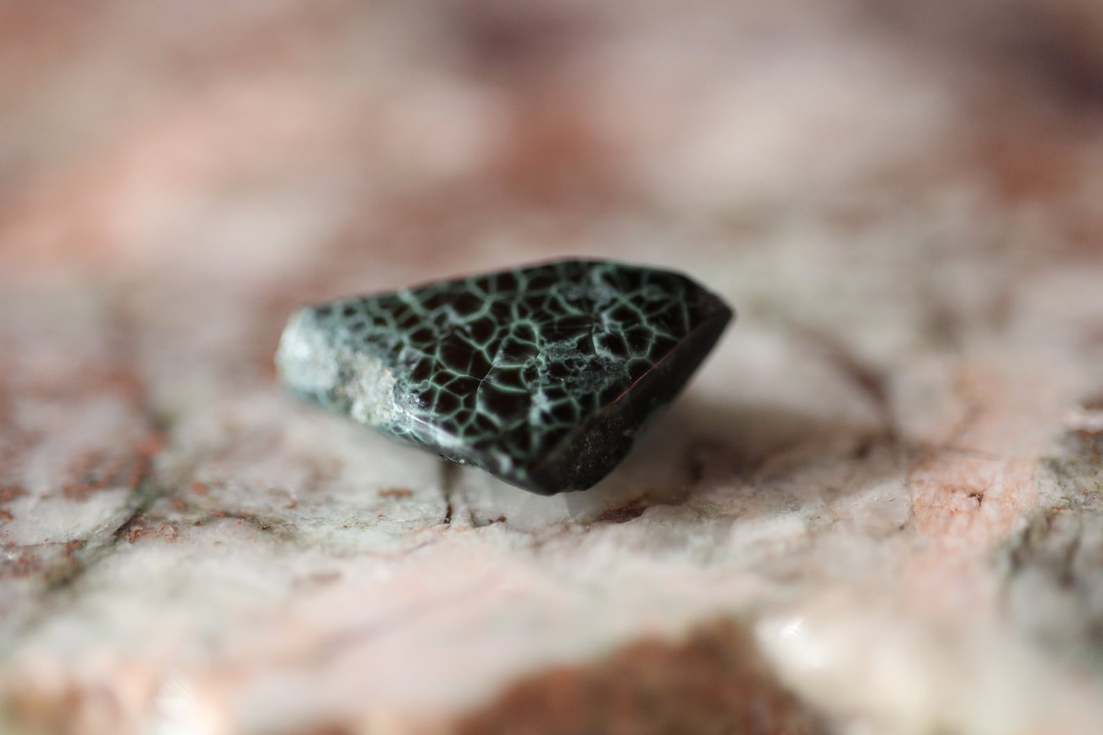 1g Michigan Greenstone Specimen Rare Chlorastrolite Semi - Etsy