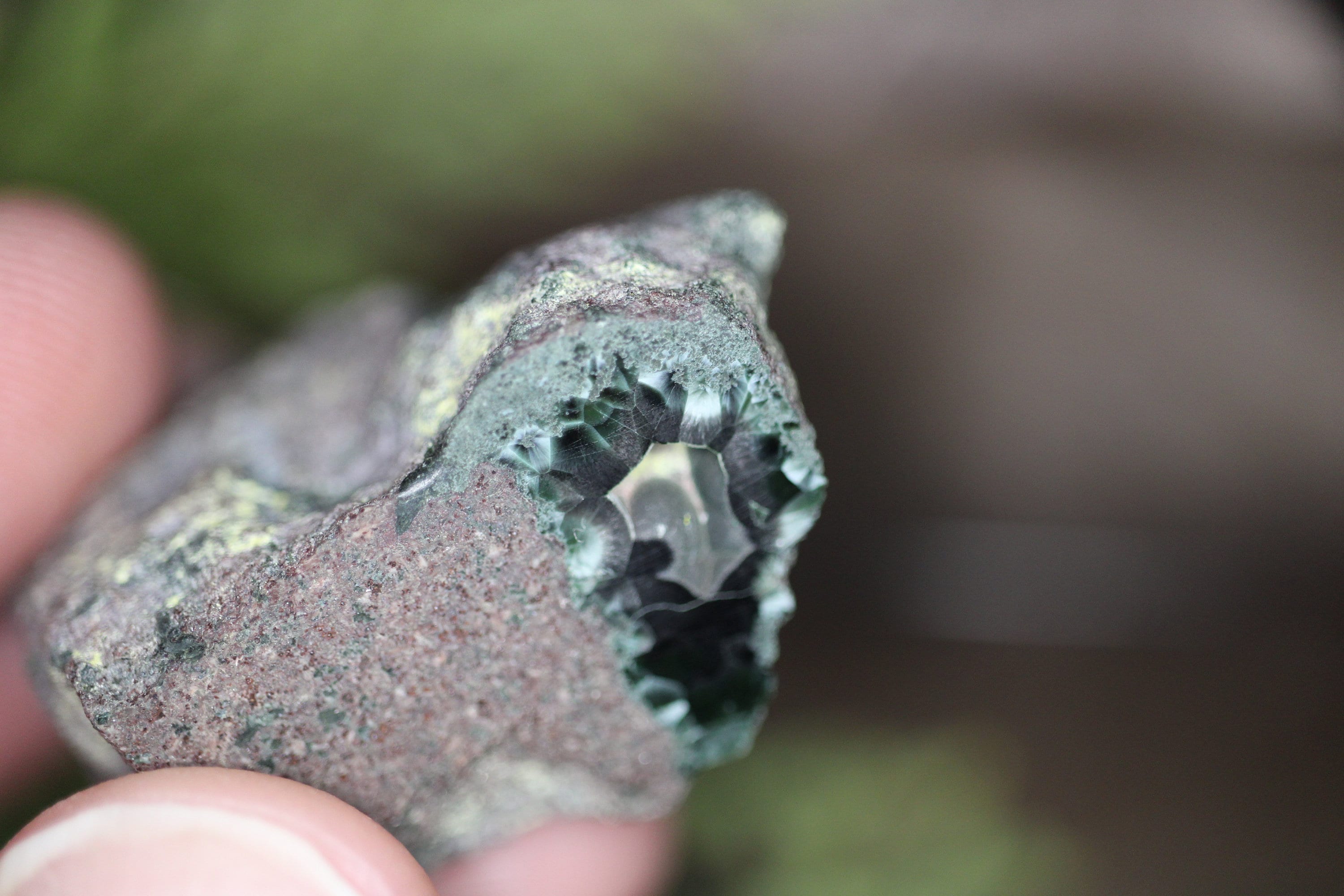 Isle Royale Greenstone Specimen Rare Chlorastrolite in Host - Etsy