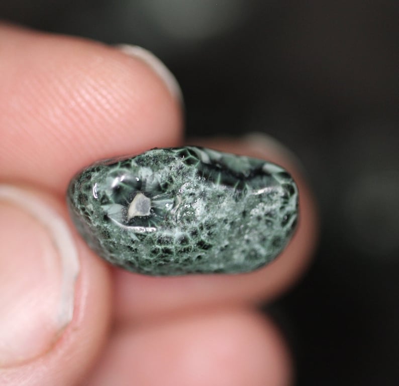 60g LOT of Raw Rough Michigan Greenstone Rare Chlorastrolite - Etsy