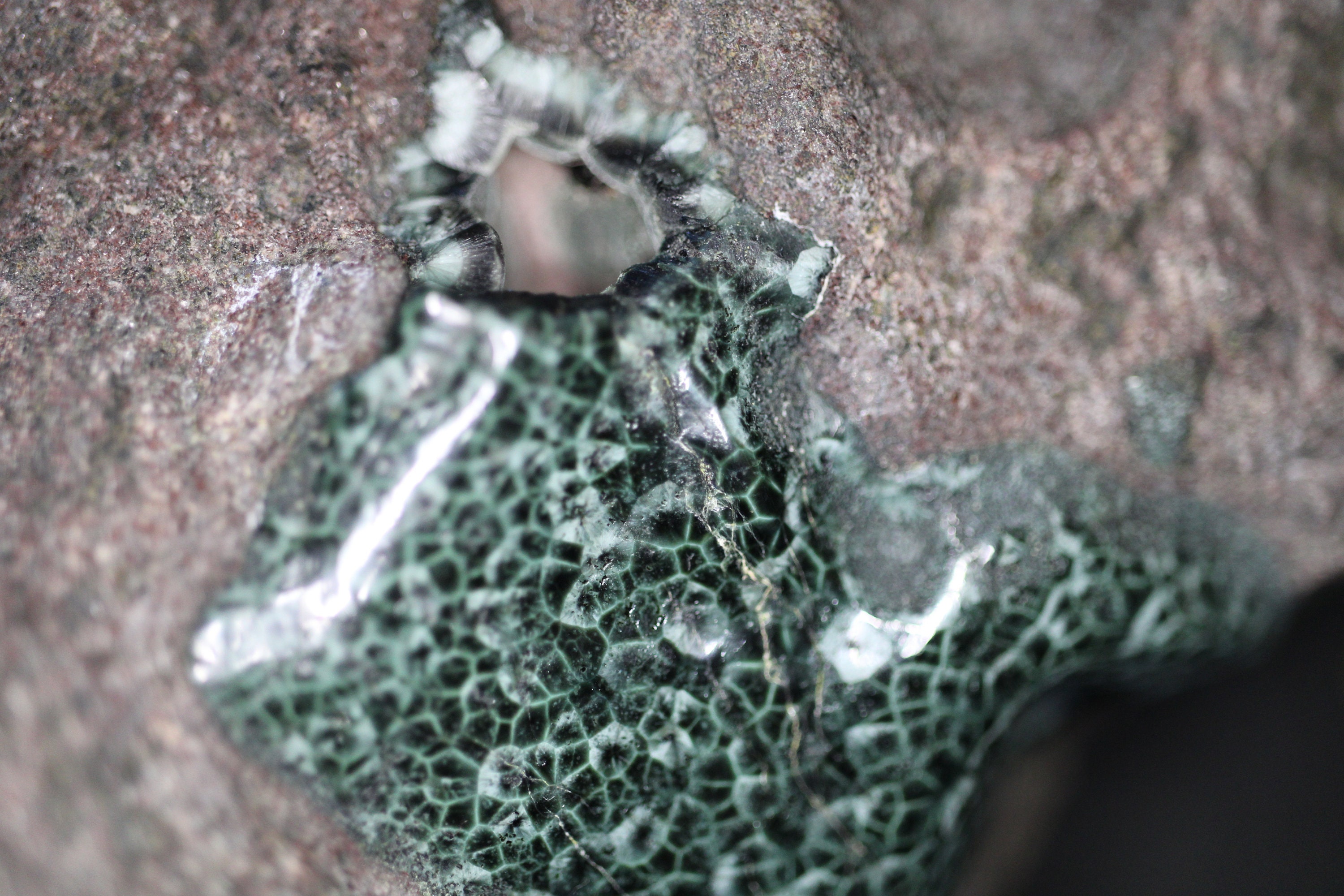 MASSIVE Gorgeous Isle Royale Greenstone Specimen Rare - Etsy