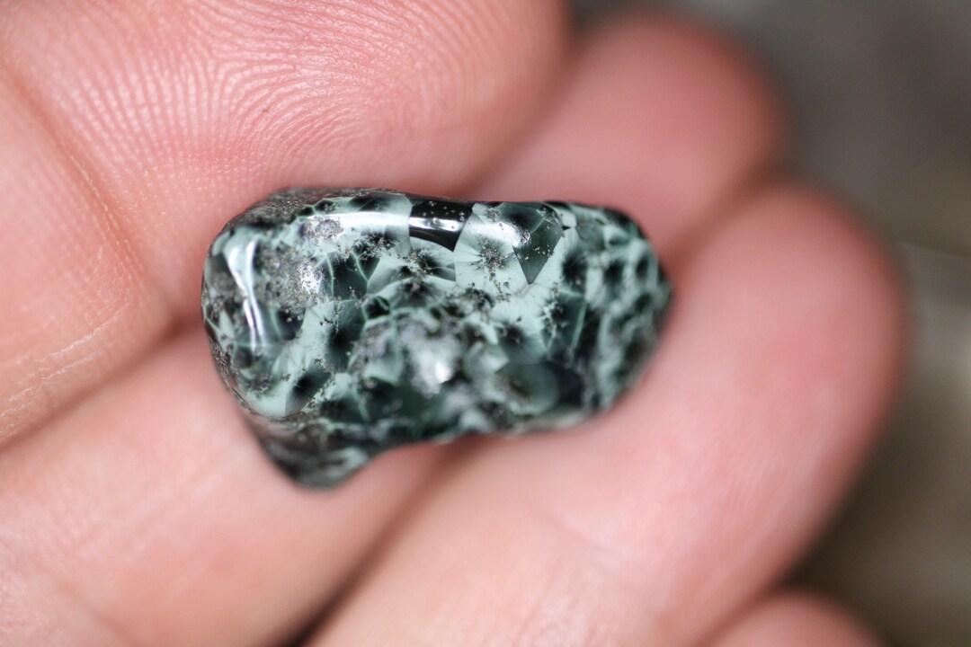 Michigan Greenstone BEAD Specimen Rare Chlorastrolite Semi Polished - Etsy