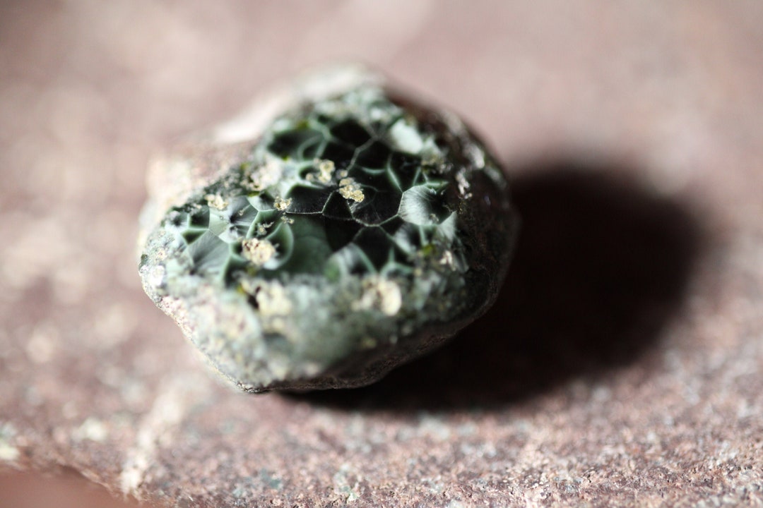 2g Michigan Greenstone Rare Chlorastrolite Semi Polished - Etsy