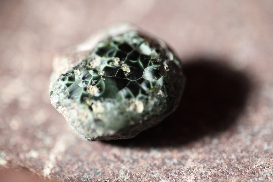 2g Michigan Greenstone Rare Chlorastrolite Semi Polished - Etsy