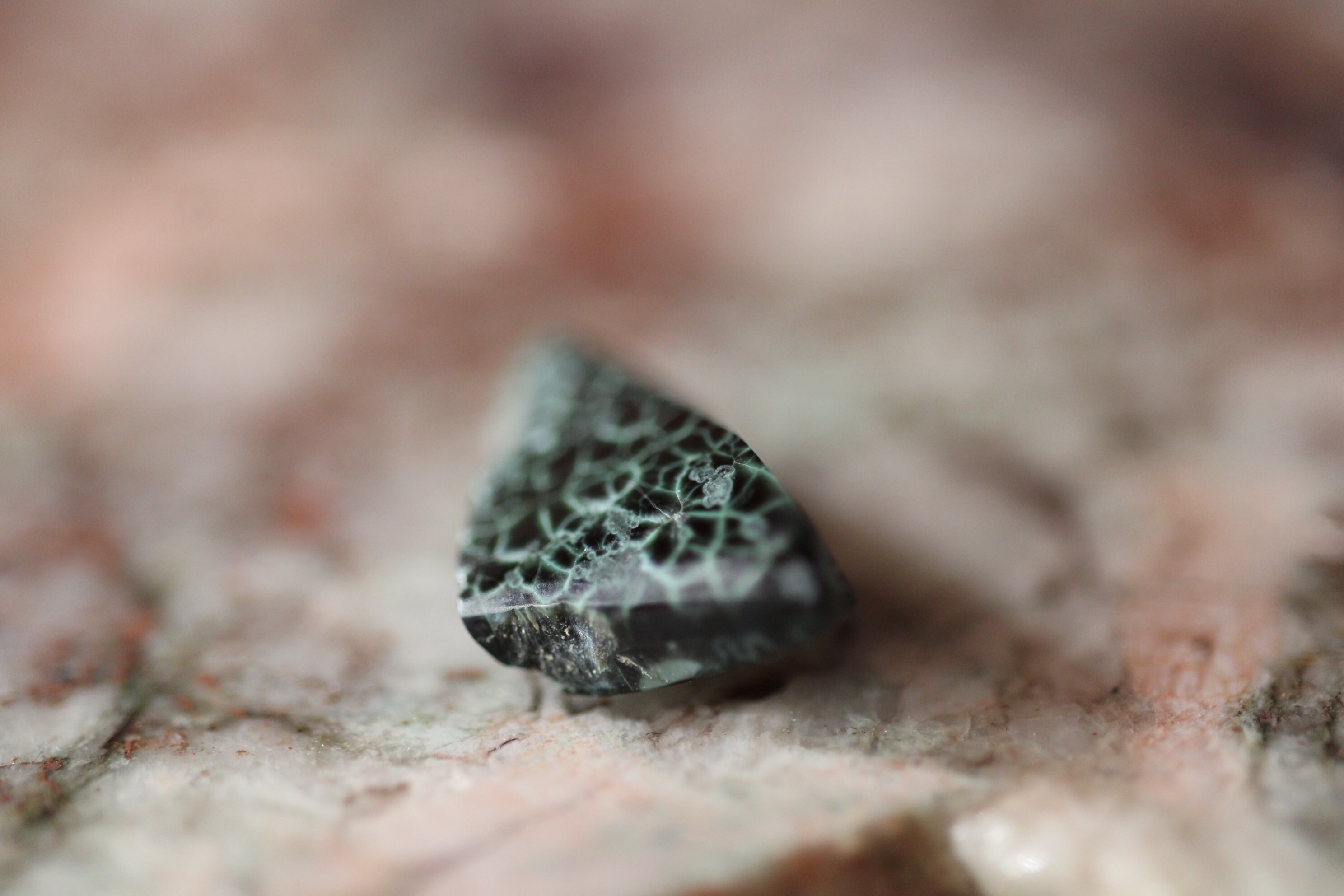 1g Michigan Greenstone Specimen Rare Chlorastrolite Semi - Etsy