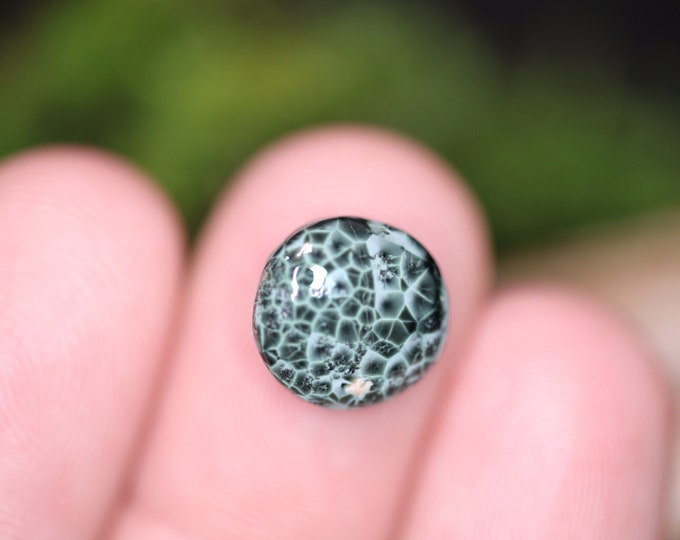 1g Isle Royale Greenstone Keweenaw Peninsula Turtleback Pattern ...