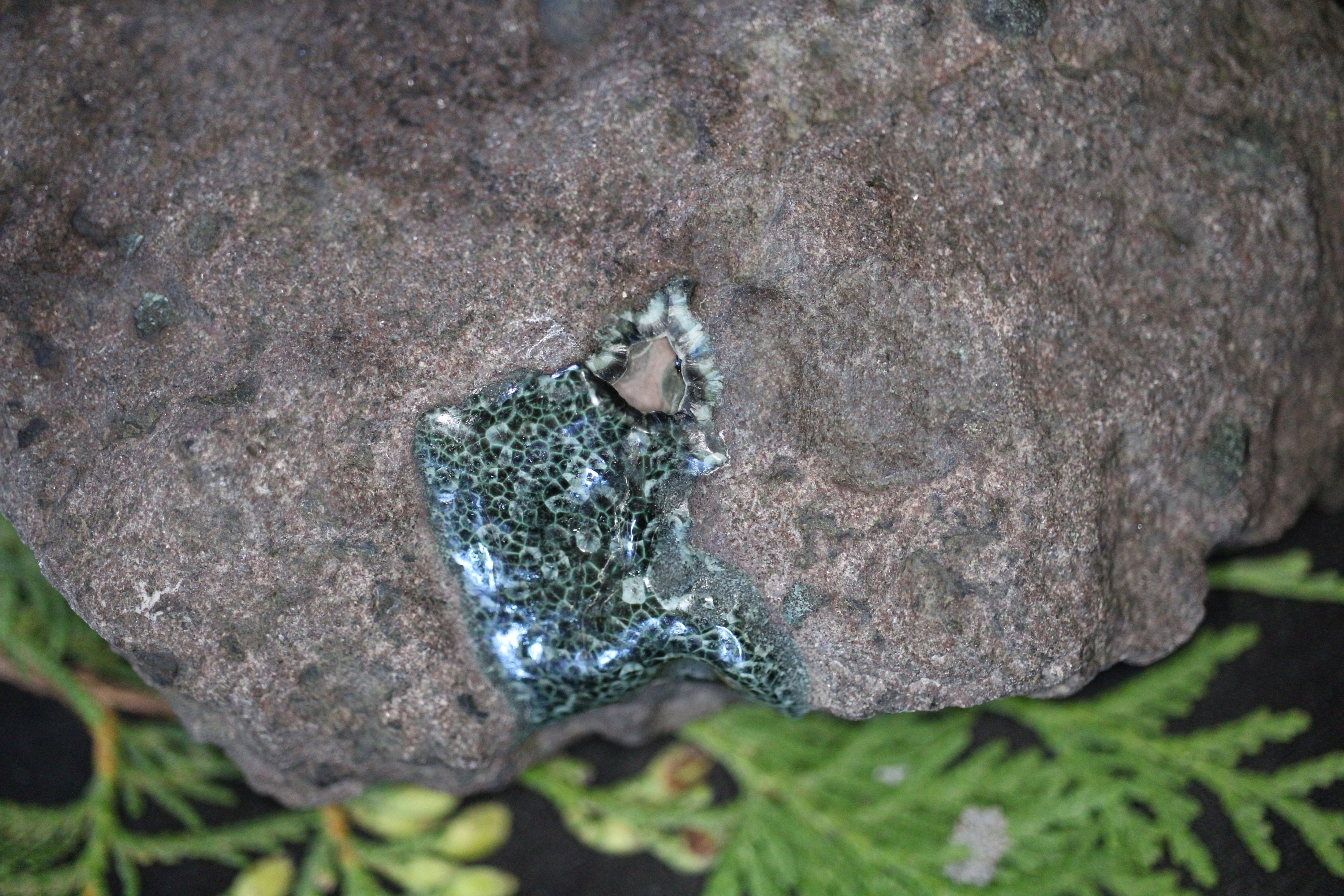 MASSIVE Gorgeous Isle Royale Greenstone Specimen Rare - Etsy