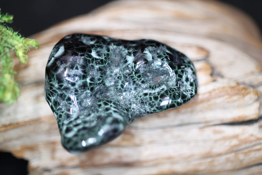 11g Isle Royale Greenstone Chewy Rare Chlorastrolite Specimen - Etsy
