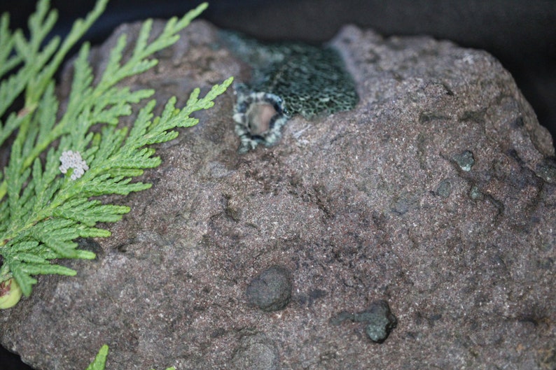 MASSIVE Gorgeous Isle Royale Greenstone Specimen Rare - Etsy