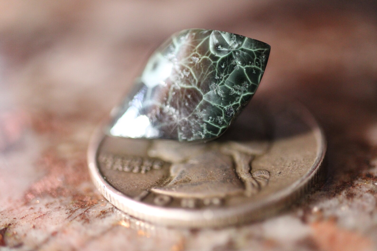 3g Michigan Greenstone Specimen Rare Chlorastrolite Semi - Etsy